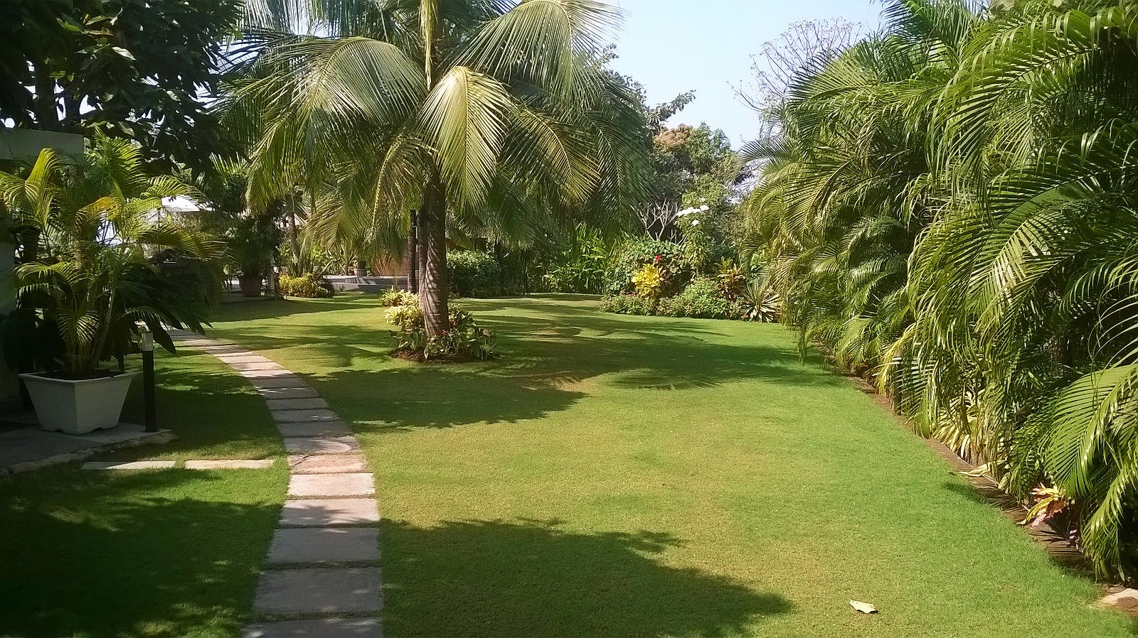 Landscape Designer in Goa | Garden Consultants in Goa