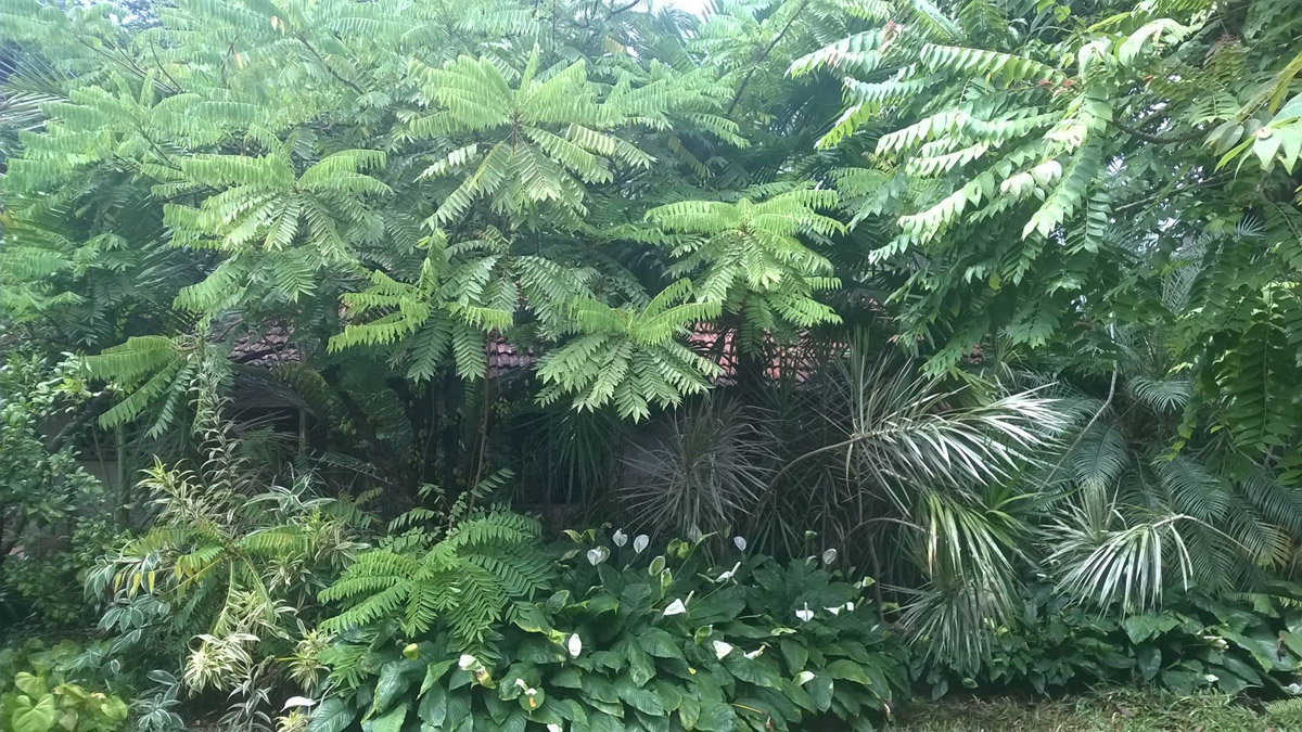 Landscape Gardening in Goa | Landscaping in Goa