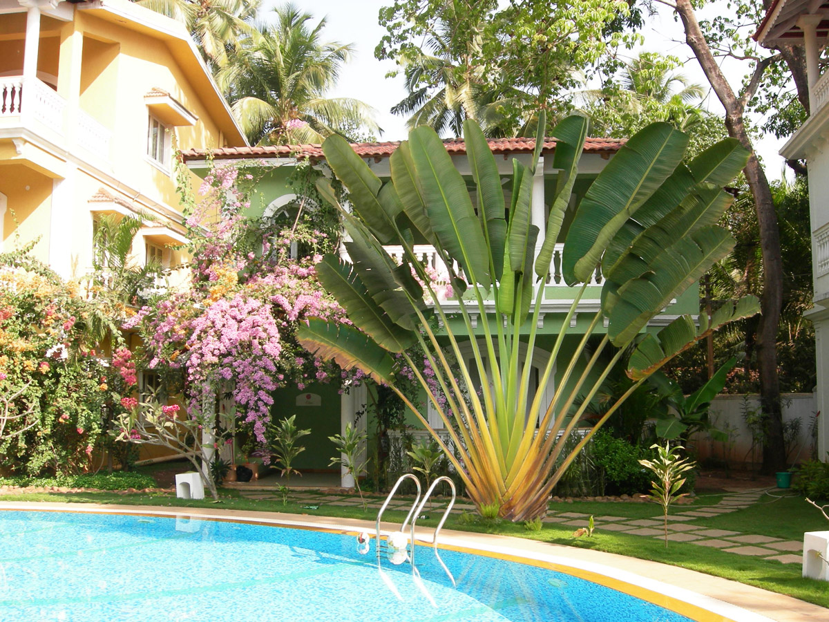 Garden Designers Goa | Garden Services in Goa