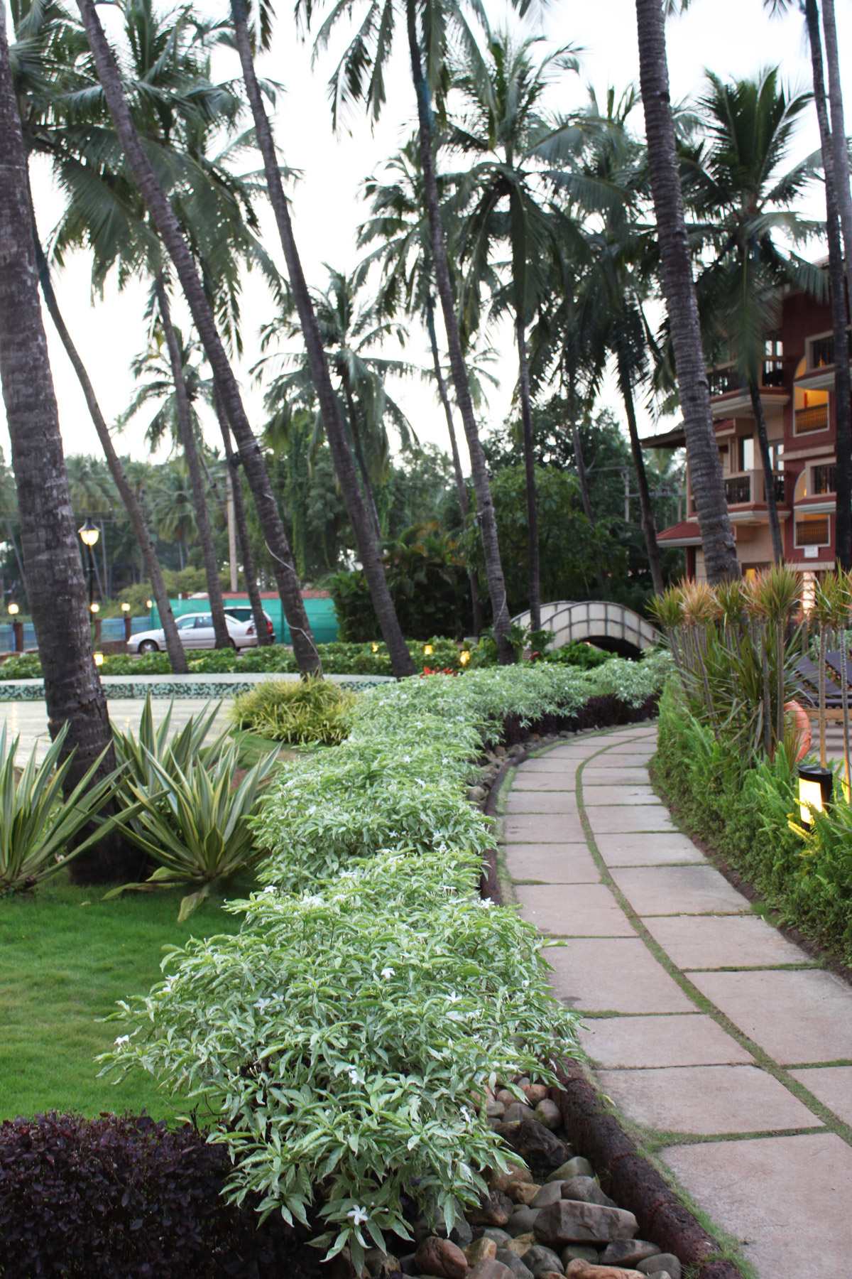 Landscapers Goa | Landscape Gardening in Goa